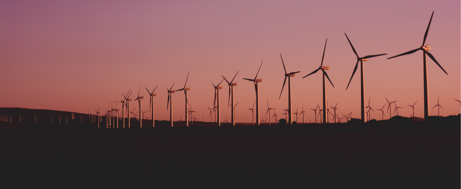 Home [ravenenergy.erpaccess.cloud]